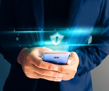 Fraud & Theft Management WordPress Website Development Agency